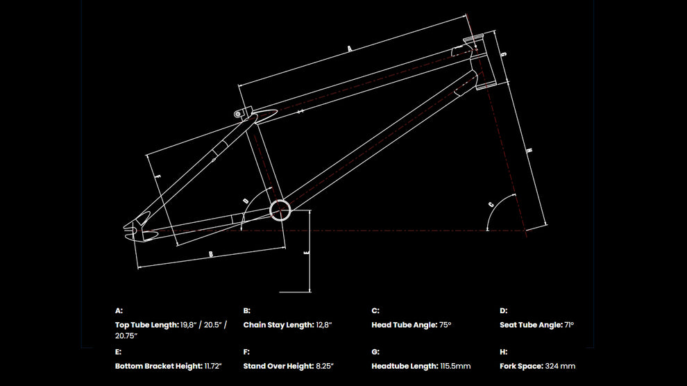 Viking Valhalla Titanium Frame (Custom Sizes Avail) – Level7Bikes